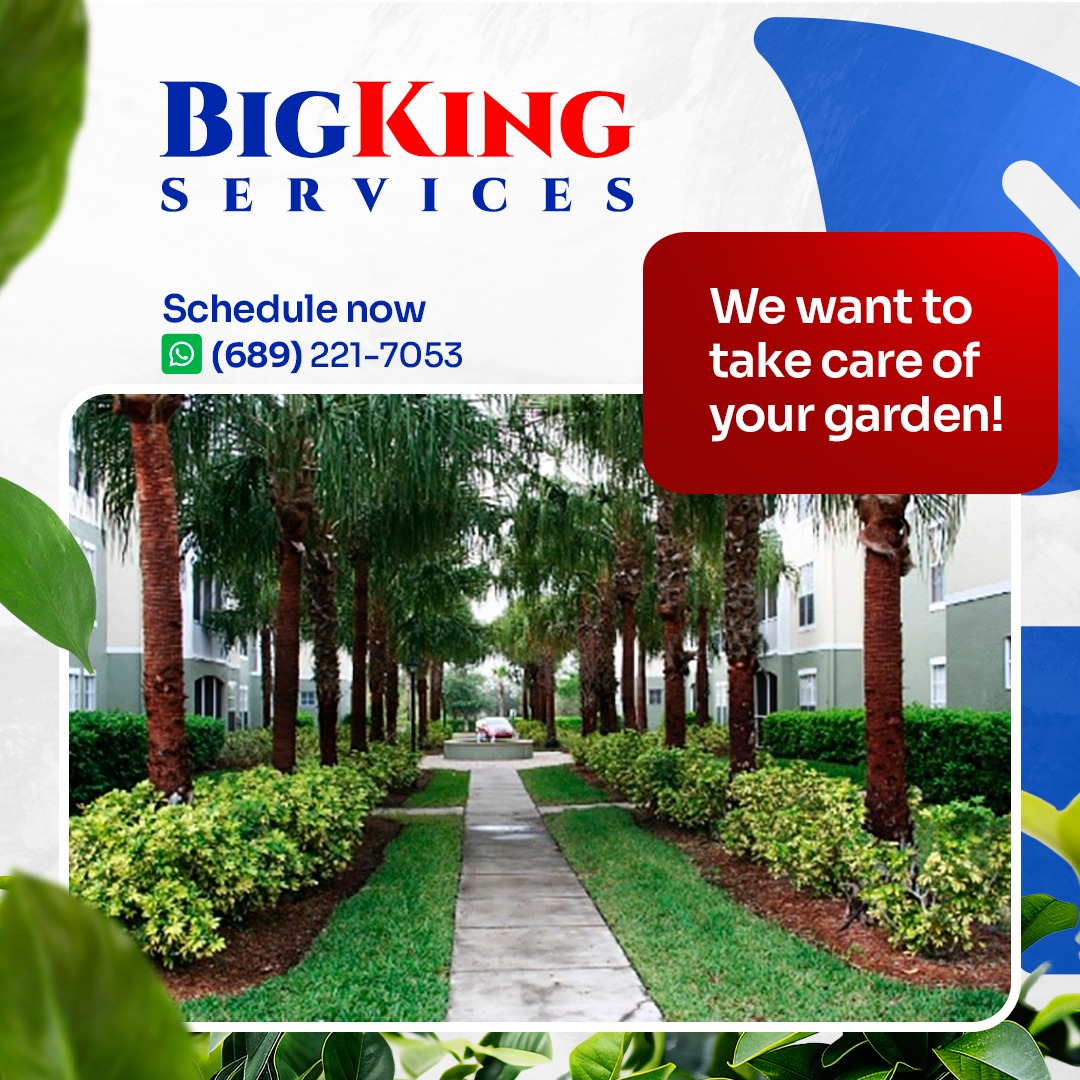 Big King Services - Professionals Services